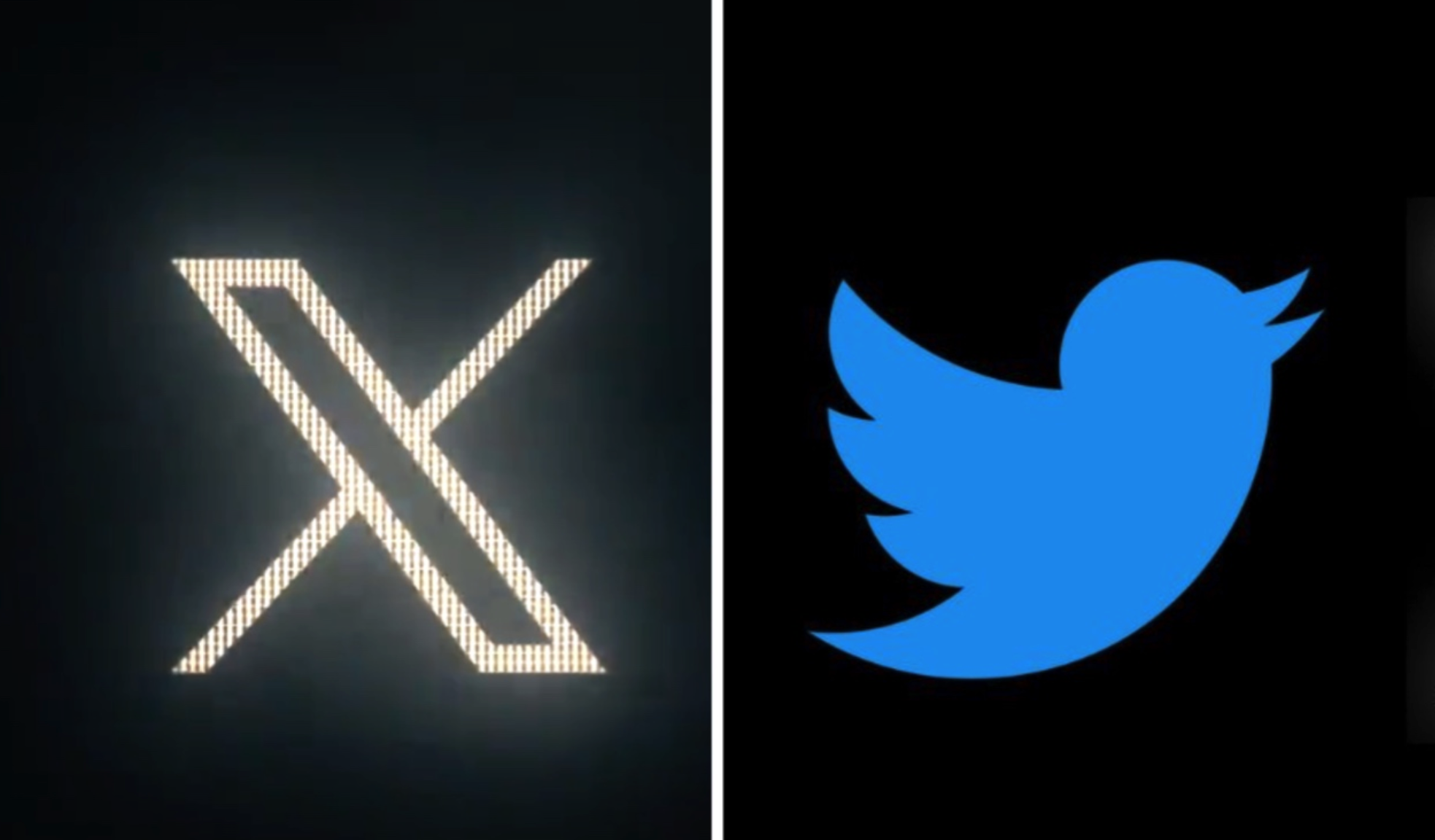 Twitter'S Logo Becomes An X-Bird: Do Advertisers Care? | Campaign Canada